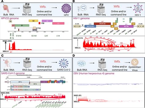 Validation Of The Proposed Pipeline On In House And Publicly Available Download Scientific