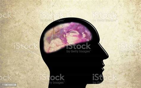 추상 다각형 두뇌와 남자 프로필 실루엣입니다 인공 지능 및 브레인 스토밍 개념 사람 뇌에 대한 스톡 벡터 아트 및 기타 이미지 사람 뇌 사색 0명 Istock