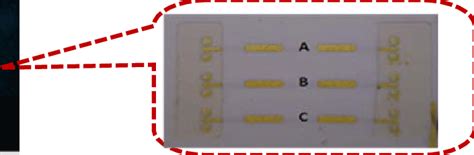 Fabricated Ltcc Multilayer Ecbpf With Conductor Gold Download Scientific Diagram