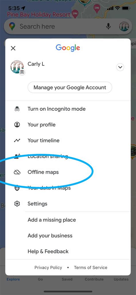 How To Download A Google Map To Use Offline