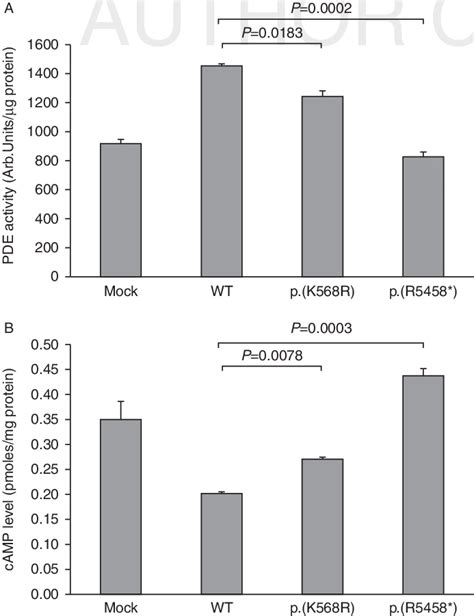 Phosphodiesterase Pde Activity A And Camp Levels B After
