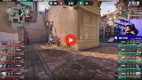 손오천 폭시나인 치지직 에펨코리아