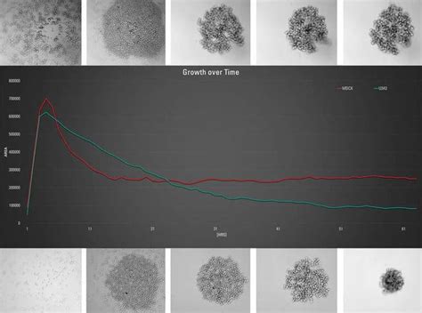 Efficient Long Term Time Lapse Microscopy Danaher Life Sciences