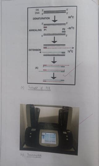 M2 Advanced Analytical Technique Pdf