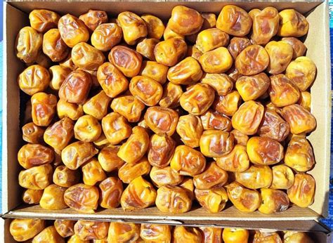 With Seed Brown Sukkari Rutab Wet Dates At ₹ 250 Kg In Thane Id 24049360391