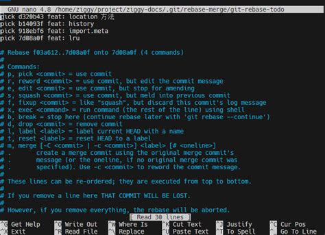 Git Ziggy Docs