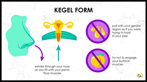 Kegel Exercises Step By Step With Images Pdf