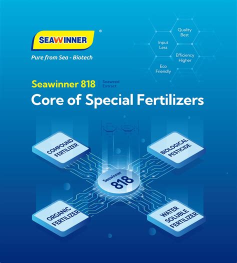 Seaweed Extract Organic Liquid Foliar Fertilizer Bioestimulantes