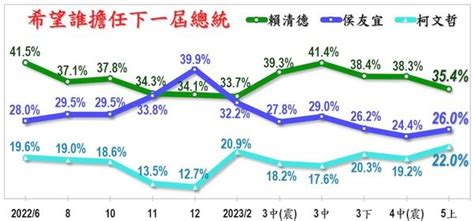 美麗島民調：只有藍白合才能贏賴清德