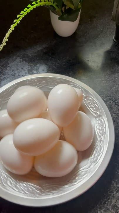 अंडा मसाला रेसिपी Anda Masala Recipe👩‍🍳🥚😍shorts Trending