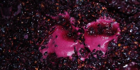 Levaduras Para Elaborar Vinos Con Menos Alcohol Bodegas Comenge