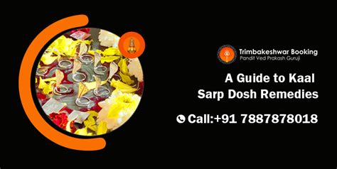 Kaal Sarp Dosh Full Remedies Guide Trimbakeshwar Booking