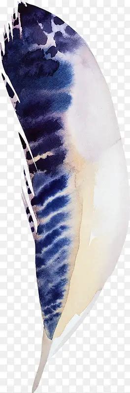 Png Qlvejnnp