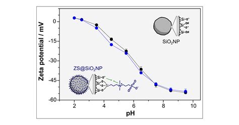 Short Zwitterionic Sulfobetaine Modified Silica Nanoparticles Is