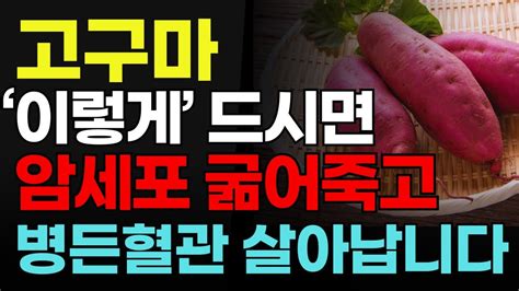 고구마 절대로 이렇게 먹지마세요 이렇게 먹어야 병든 혈관이 살아납니다 고구마가 독이되는 사람 혈당 때려잡고 고구마의 항암
