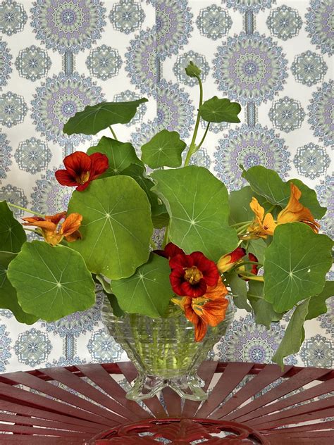 Vintage Clear Pressed Glass Rose Bowl With Glass Frog — Gardenalia