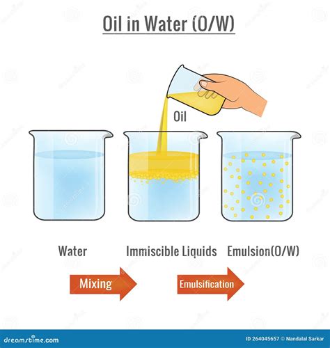 Emulsion Oil In Water Vector Illustration Stock Vector Illustration