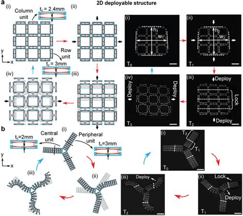 Thermally Actuated Sequential Morphing Of Planar Structure A