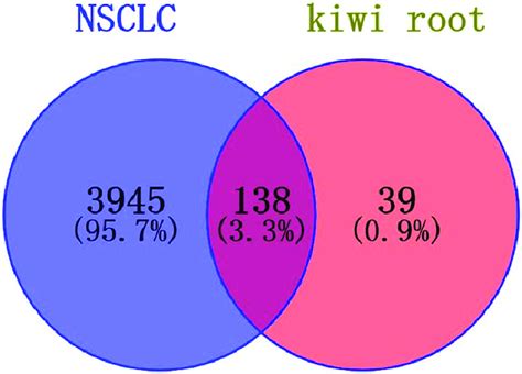 Screening Of Potential Targets Of Nsclc With Kiwi Root Nsclc Download Scientific Diagram