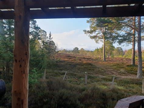 The Lazy Duck Nethy Bridge Campground Reviews And Photos Tripadvisor
