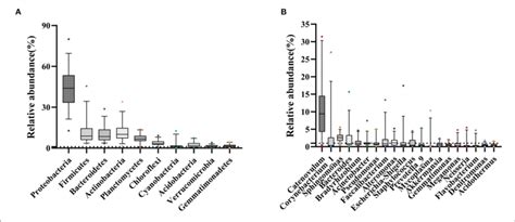 Sample Distribution Of Relative Abundance Of Bacteria At Different