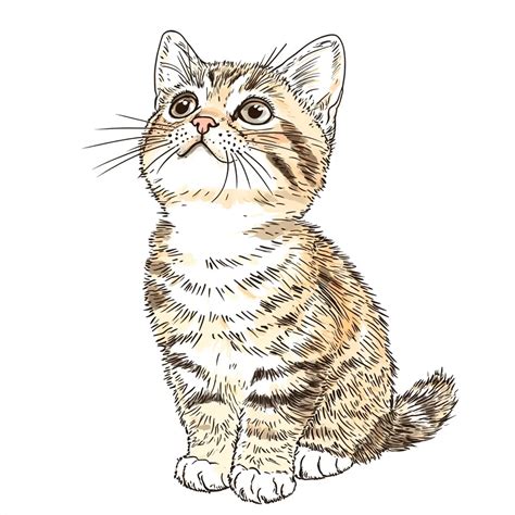 キジトラ猫の魅力溢れるイラスト作品のフリー素材イラスト 無料イラスト・フリー素材ならnovastock