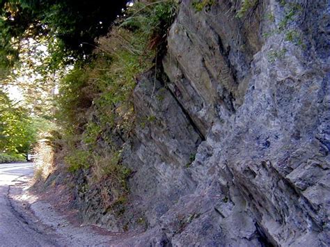 Chuckanut Formation Alchetron The Free Social Encyclopedia