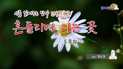 시낭송 흔들리며 피는 꽃 도종환 시를 읽어주는 남자 임낙관영상과 시의 만남 감성의 사랑시 시낭송 낭송시 감성의 사랑시음악 산공스님 Youtube
