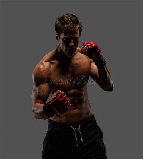Boxer Posing In Studio Stock Image Image Of Fearless