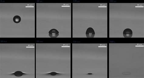 Aqueous Drop Jetted Onto Liquid Cross Linked Pdms Showing Its Impact