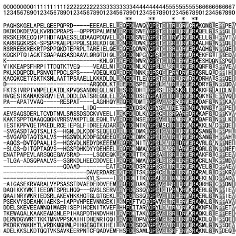 Multiple Sequence Alignment Of Conserved Motifs Identified In Pold4