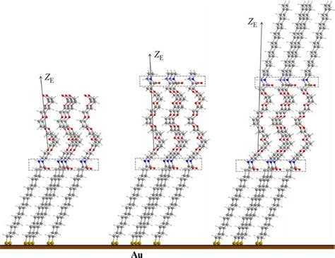 BP86 6 31G Optimized Geometries Of Periodic Arrays Of C15EG6 Left