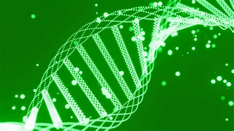 Animation Of Rotating Dna Strands Design Stock Motion Graphics Sbv