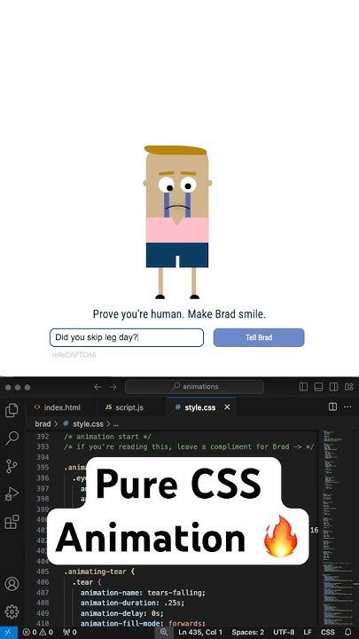 Make Brad Smile Captcha Css Animation Youtube