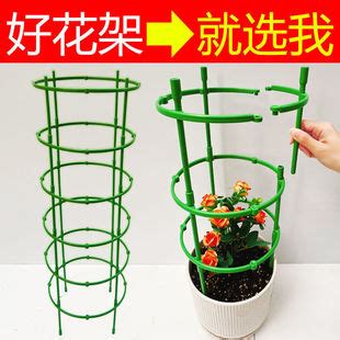 花架子室内家用蟹爪兰花架支架杆支撑圈客厅花盆架花瓶支架支撑杆 阿里巴巴
