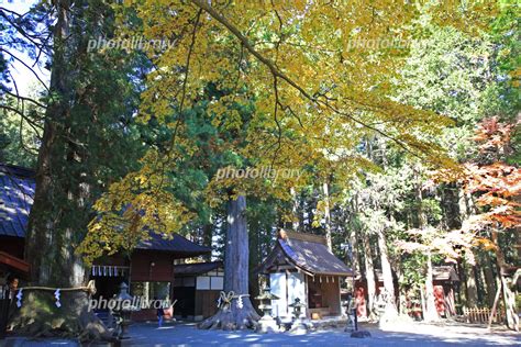 北口本宮富士浅間神社 写真素材 5347981 フォトライブラリー photolibrary