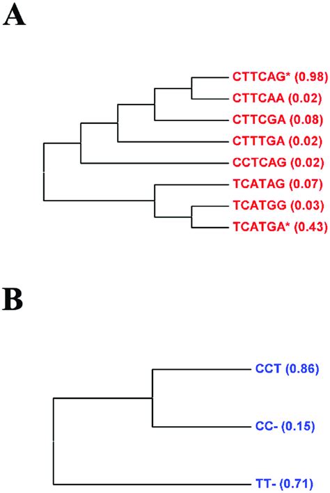 Haplotypes Of Nucleotides Found In Biallelic Polymorphic Positions At