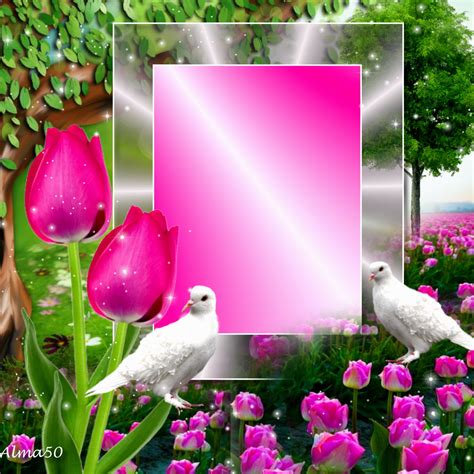 Alma50s Girly Girl Frames 2013 July Tulips Field Alma50 Girly