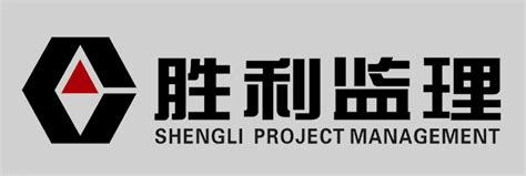 胜利油田胜利建设监理有限责任公司图册 360百科