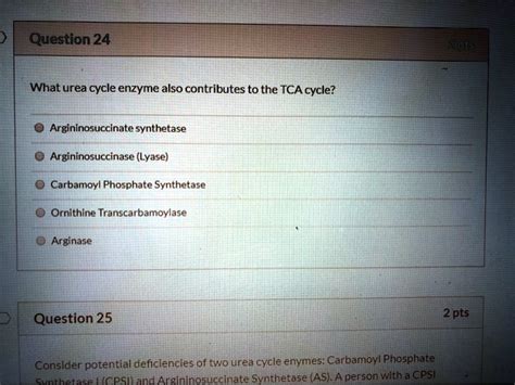 Solved Question 24 2pts What Urea Cycle Enzyme Also Contributes To The