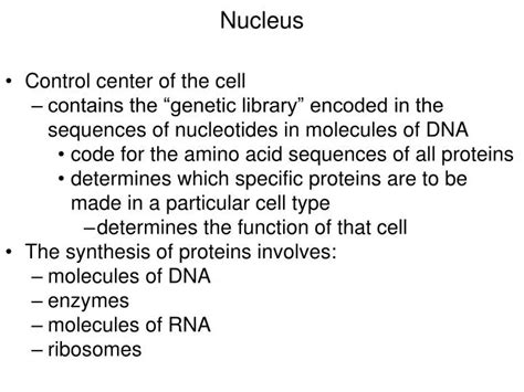 Ppt Nucleus Powerpoint Presentation Free Download Id6703778