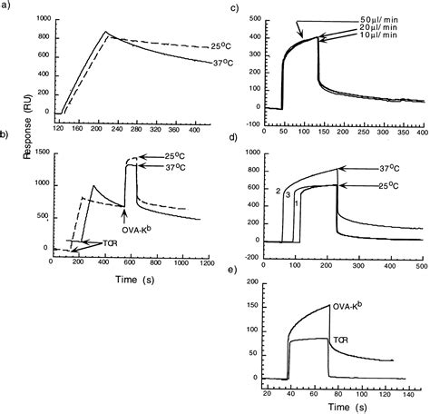 Qualitative And Quantitative Differences In T Cell Receptor Binding Of Agonist And Antagonist