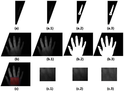 Preprocessing For Hand Recognition A The Side View Of The Hand