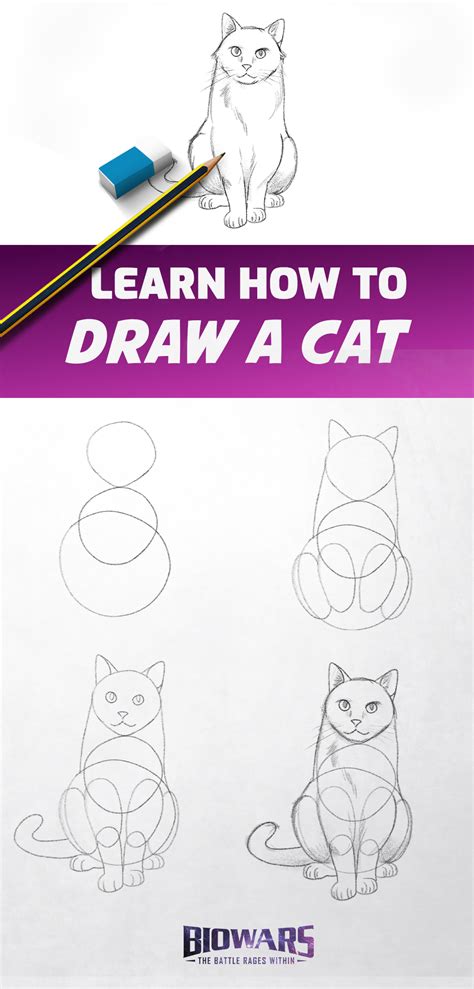 Learn How To Draw A Cat