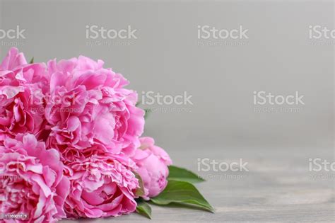 꽃 조성 물 나무 배경에 분홍색 모란 꽃입니다 어머니의 날입니다 평면 누워 평면도 0명에 대한 스톡 사진 및 기타 이미지