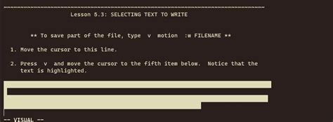 Windows Terminal Vim Cant See What I Am Selecting With Visual Mode