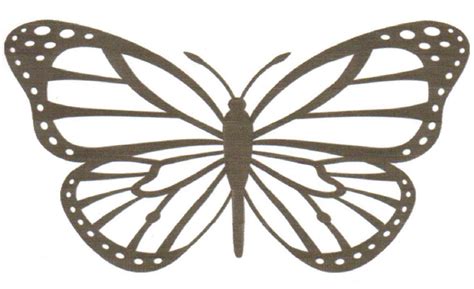 Patterns For Flapping Butterflies