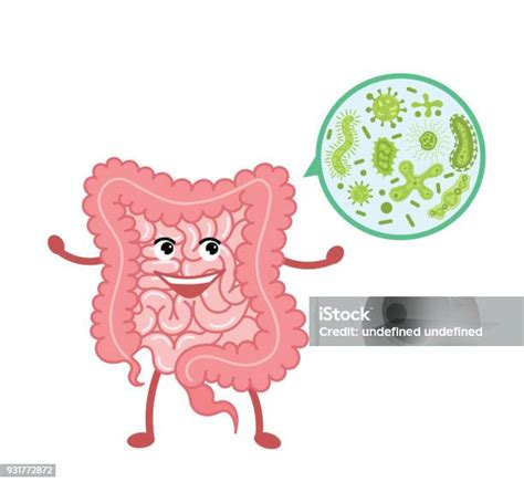 벡터 일러스트 레이 션 강한 건강 한 행복 Intestinestomach 캐릭터 일러스트 아이콘 디자인 만화 미세한