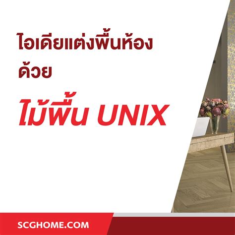 Scg Home 🏡 ไม้พื้นของ Unix มีวัสดุให้เลือกถึง 3 อย่าง