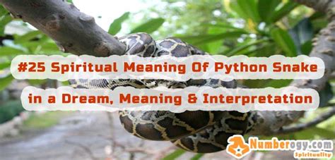 25 Spiritual Meaning Of Python Snake In A Dream Meaning And Interpretation